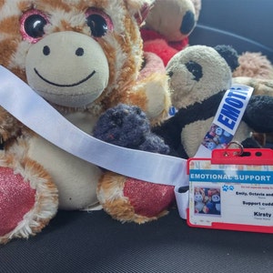 Customized Plastic ID Card Staff Badges, Membership Cards, Loyalty Card ...