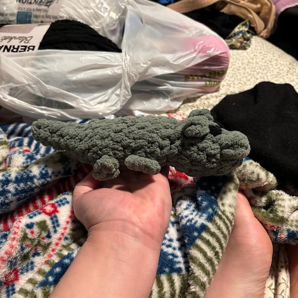Baby Alligator Crochet Pattern PDF - Gator, Amigurumi, Chunky Yarn ...