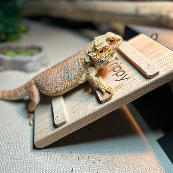 INDOOR Ramp With Sides Option 5.5-11.25 Inches Wide 10"-70" Long 7lb ...