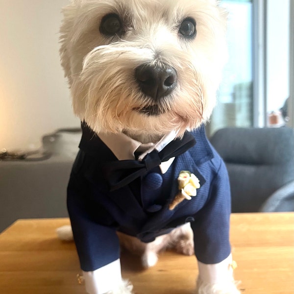 Dog Tuxedo, Dog Suit, Dog Wedding Attire, Navy Blue, Navy Blue Dog ...