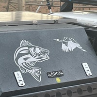 Atlantic Cod or Codling Fish Swimming up Woodcut Black and White Svg ...