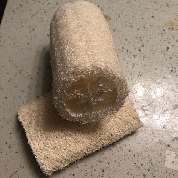 Natural Loofah Set of 2 | Loofah Sponge | Zero Waste Loofah | Plastic ...