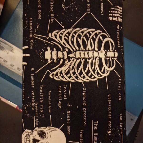 Anatomy Pencil Case, School Supplies, Skeleton Pencil Case, Back to ...
