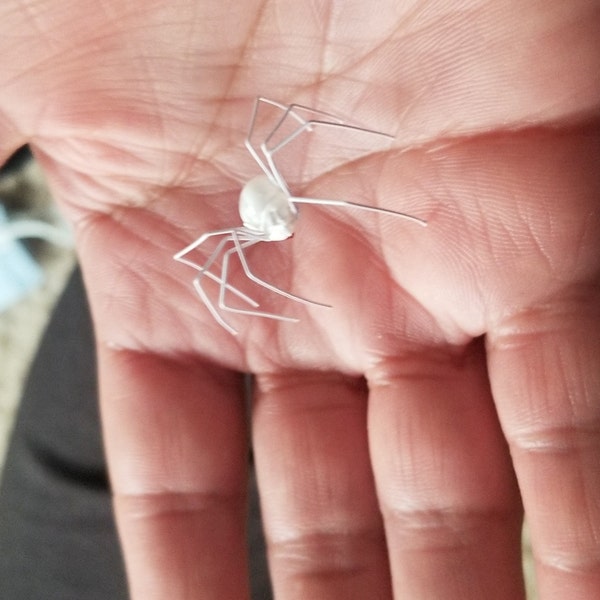 Albino Black Widow Spider, 5 Realistic Black Widows, Handmade White ...