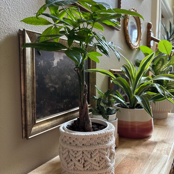 Macrame Basket (large) | Macrame Bowl | Boho Inspired Home Decor ...