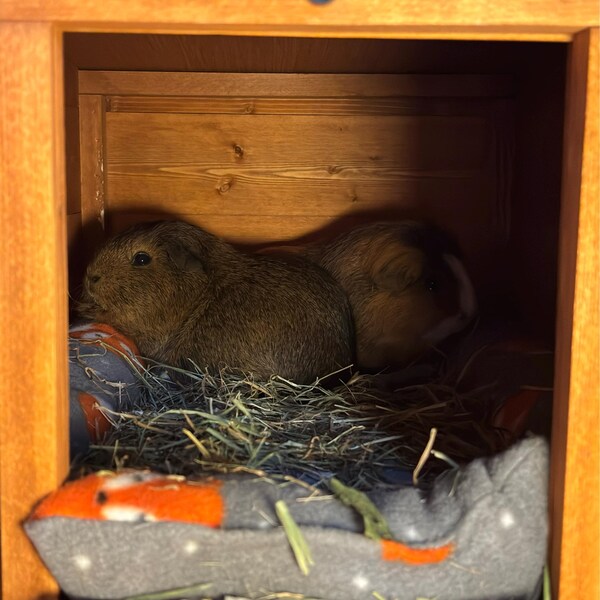 Padded Cotton Blanket Set for Ikea Dolls Bed Bunny Rabbit Blanket Pet ...