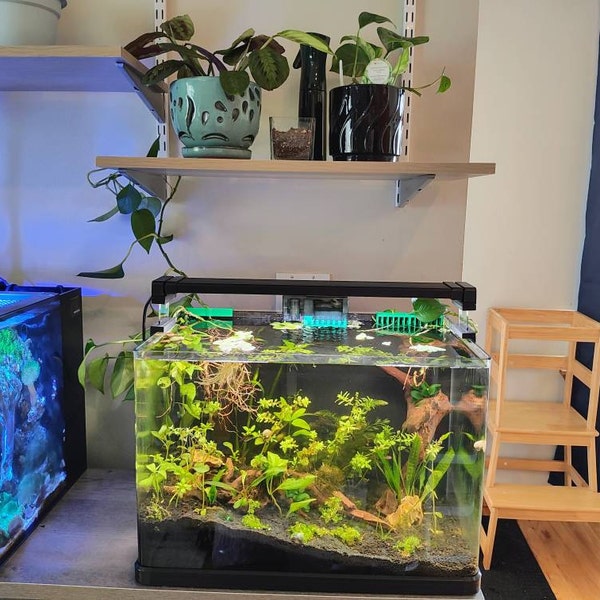 Aquarium CO-OP Light Riser, Attractive Stable Elevated Stand, Quality ...