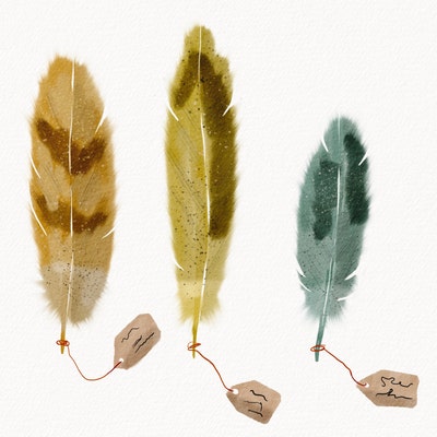 Watercolor Feather Brush Kit for Procreate (Instant Download) - Etsy