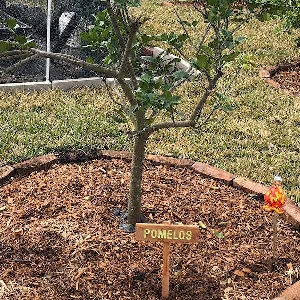 LEMONS Rustic Tree Sign, Hand Routed, Citrus Tree Marker, Yellow Garden ...