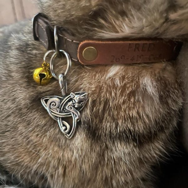 Rolled Leather Dog Collar With AirTag Holder, Reflective Round AirTag ...