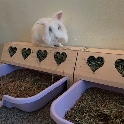 Small Picnic Table Guinea Pig Picnic Table Hamster Picnic - Etsy