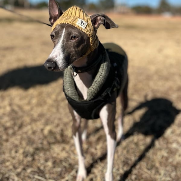 Knitted Muffler, S,L, Dog Cape, Pet Neckwear, Dog Neck Warmer, Pet ...