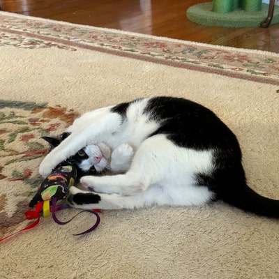 Large Cat Kicker Toy With Ribbons. 12 to 13 Long. Quality Catnip Silver ...