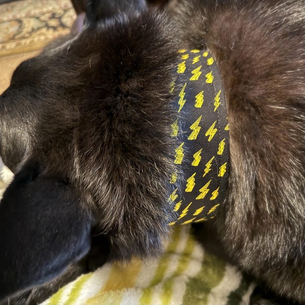 Yellow Lightning Bolts Dog Collar / the Thunderbolts / Novelty Dog ...