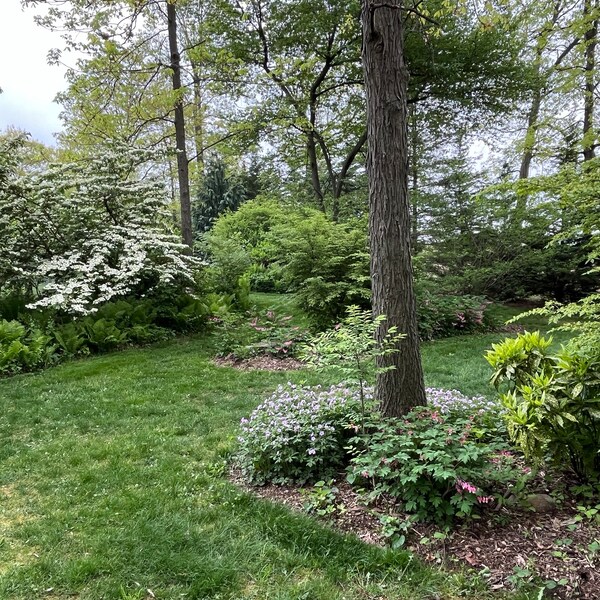 48 Strand DNA Avatar Activation (prerequisite: 12, 24 & 36 Strand DNA ...