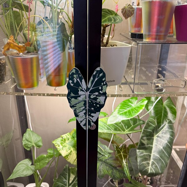 Hoya Bella Bloom 3D Printed Handles for Ikea Cabinet - Etsy