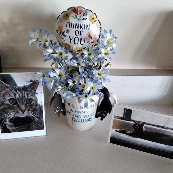 Cat Definition Wood Sign, Stained Wood Cat Sign, Cat Themed Decorations ...