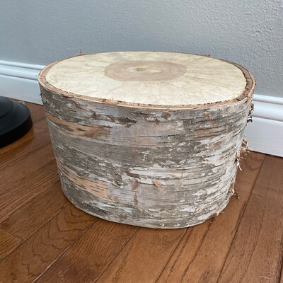 Thick Level White Birch Slabs Dried Birch Tree Disk Tree - Etsy