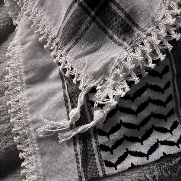 Embroidered Palestine Sweater Tatreez Watermelon for Palestine Map ...