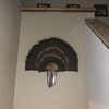 Handmade Classic Turkey Mount Plaque - Etsy