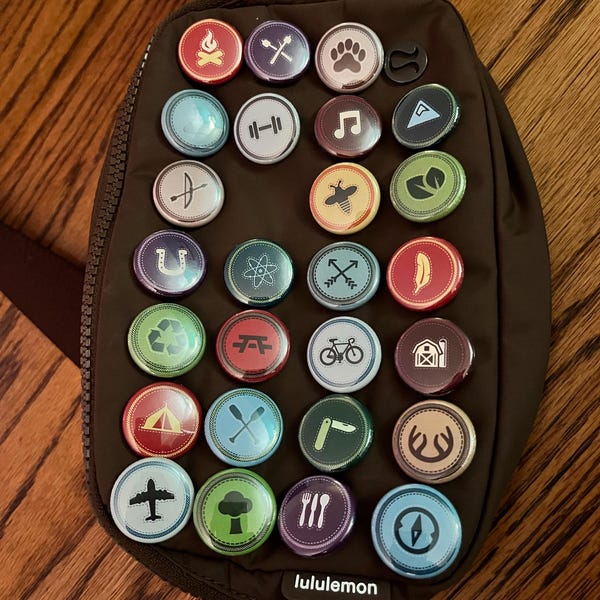 Scout Badges, Merit Badges Pins - Russell up Costume Badges Pins ...