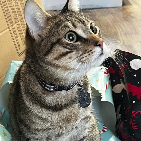 Personalized LED Light up Name Keychain USA Made Color Changing ...