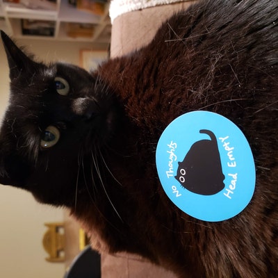 No Thoughts Head Empty / Cat Sticker / Vinyl Sticker / - Etsy