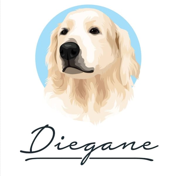 American Staff Dog Wall Poster - Decoration for Cute Dog Lovers ...