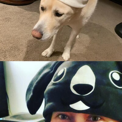 Corgi Dice Dnd Gamer Blue Skater Skirt - Etsy