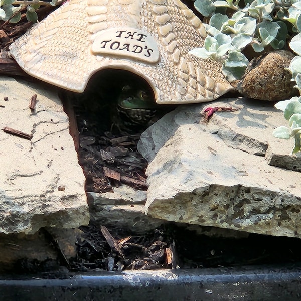 Handmade/toad Hotel/toad Inn/ Toad Home/toad Abode/toad Hut/ceramic ...