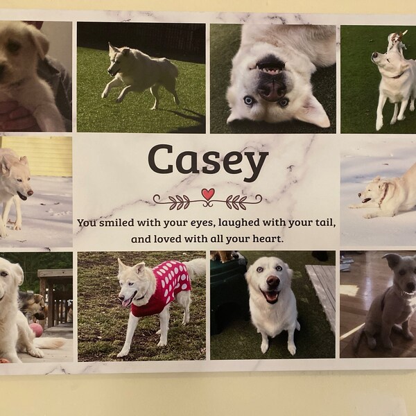 Pet Memorial With Photo Collage, Dog Passing Away Gift, Personalized ...