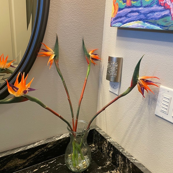 Real Touch Bird of Paradise Stem, Fake Silicone Strelitzia Long, 4pcs ...