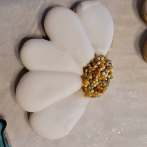 Seashell Sea Shell Bra Mermaid Cookie Cutter - Etsy