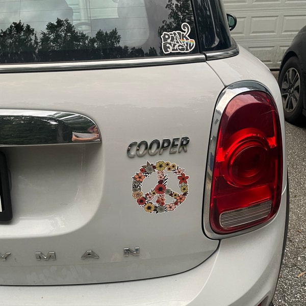 Pink Floyd Vinyl Sticker - Etsy