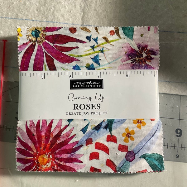 Fruit Loop Layer Cake by Basicgrey for Moda Fabrics 30730LC 42 10 Fabric Squares - Etsy