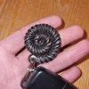 Hand Made Ammonite Style Keyring - Etsy UK