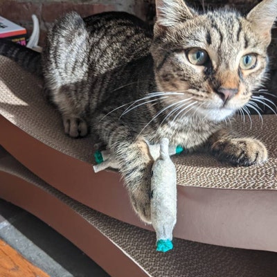 Cat Toys Felt Catnip Joints Set of 3 Available in - Etsy