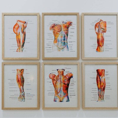 6 Vintage Anatomy Posters, Skeletal Bones Print, Osteology Art, Medical ...