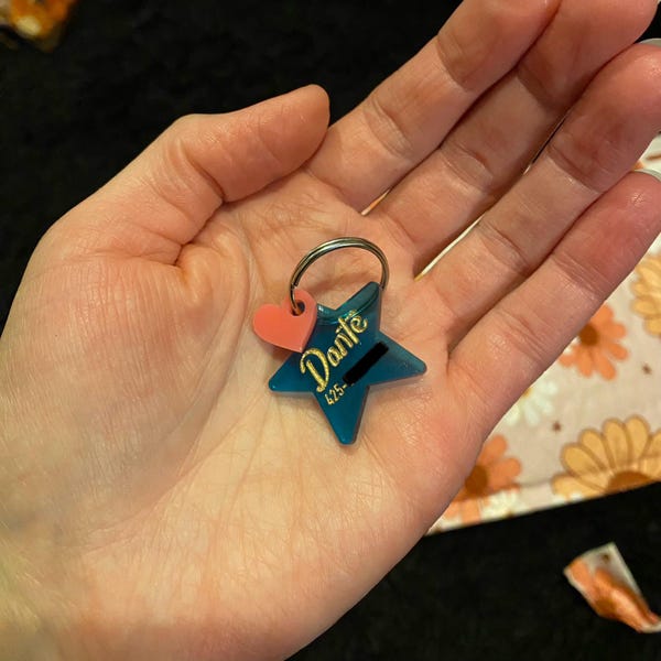 Best in Show, Blue Ribbon, 1, Number One, First Place Personalized Pet ...