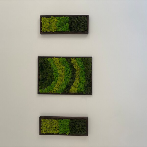 Moss Pattern Wall Art Real Moss, Zero Maintenance Eco-friendly Natural ...