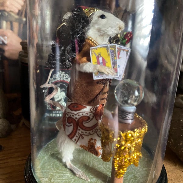 Mouse Taxidermy Art Ash ~ Cute Anthropomorphic Gaff Oddities Freak ...