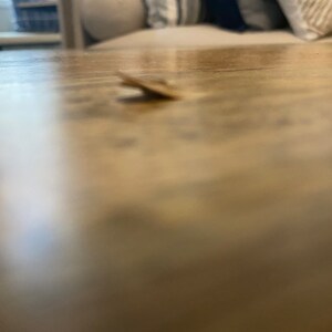 Wooden Carver Round Coffee Table Wooden Cocktail Table Unique - Etsy