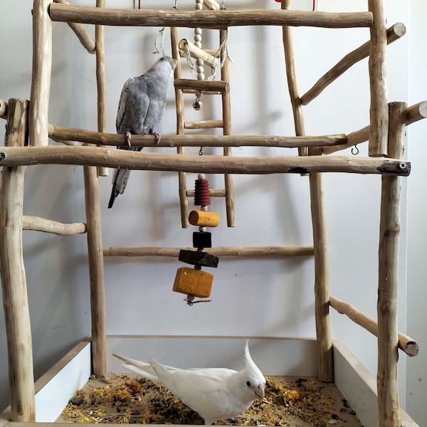 Handmade Wooden Bird Playground: Tree Branch Perch & Swing - Etsy