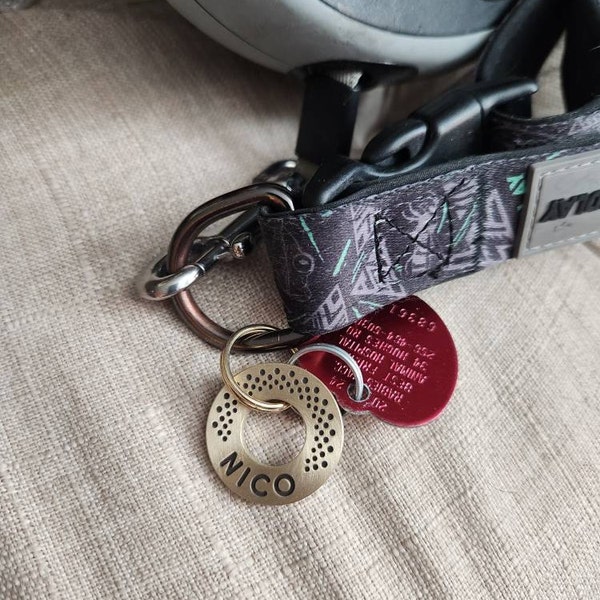 28mm Stainless Steel or Brass Personalised Round Dog / Pet ID Tag - Etsy UK