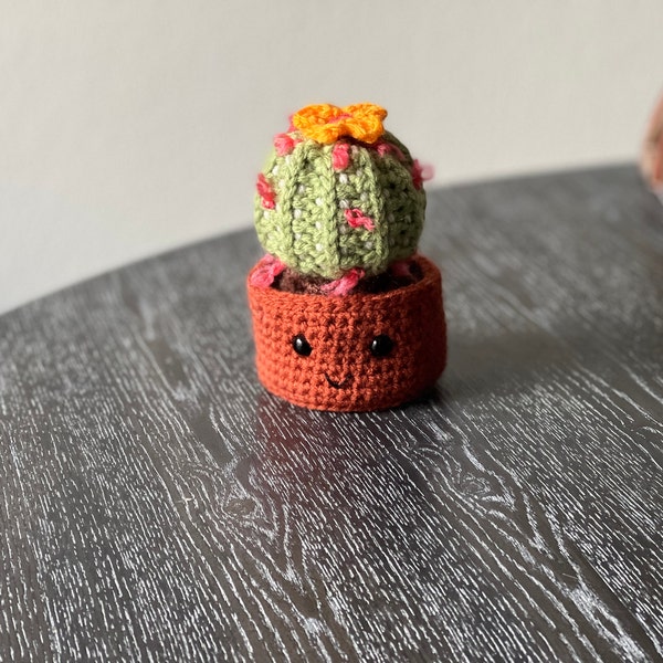 Barrel Cactus Crochet Pattern - Etsy