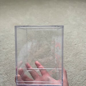 Large 6x6x9.5 Luxury Adult Jumping Spider Enclosure, Decorated Jumper ...