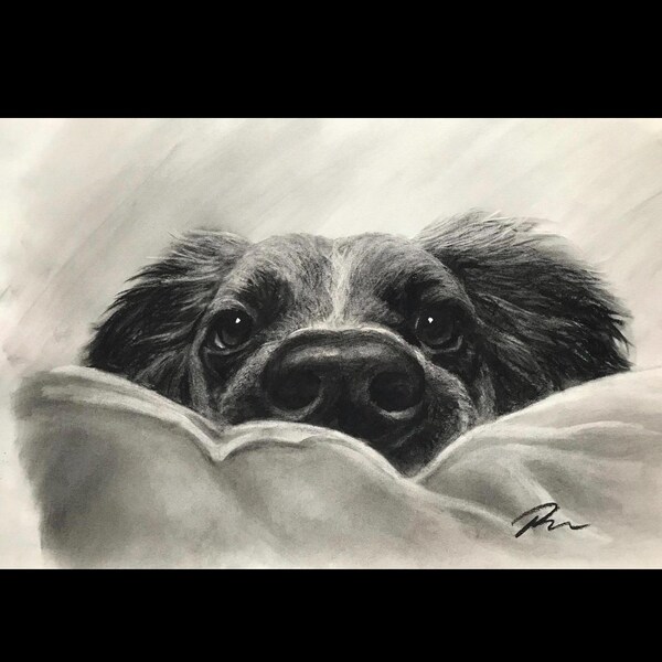 Pet Portrait Custom Charcoal | Pet Loss Gift | Dog Portrait Charcoal ...