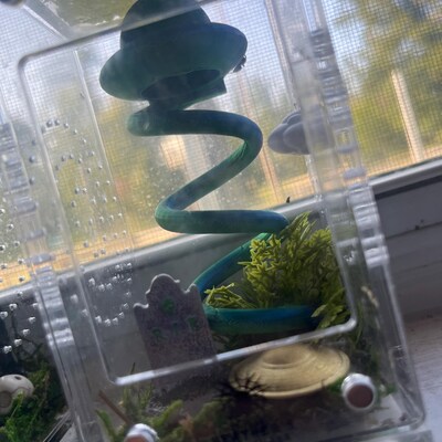 3D Printed Magnetic Pinecone Spider Hide - Etsy