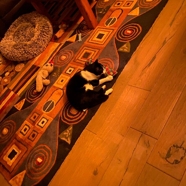 16” Catnip Toy - Large Kicker - Cat Toy - Cat Gift - Organic Catnip ...