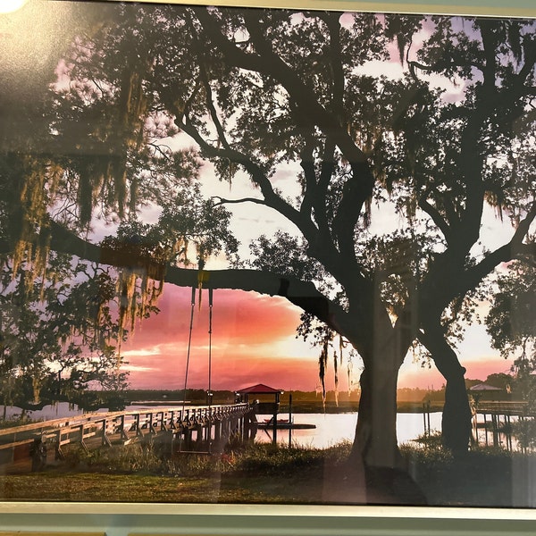 Live Oak Alley, South Carolina Live Oak, Old South Alley, Plantation ...